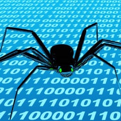 Friendly Spiders? - Blue Zoo Creative