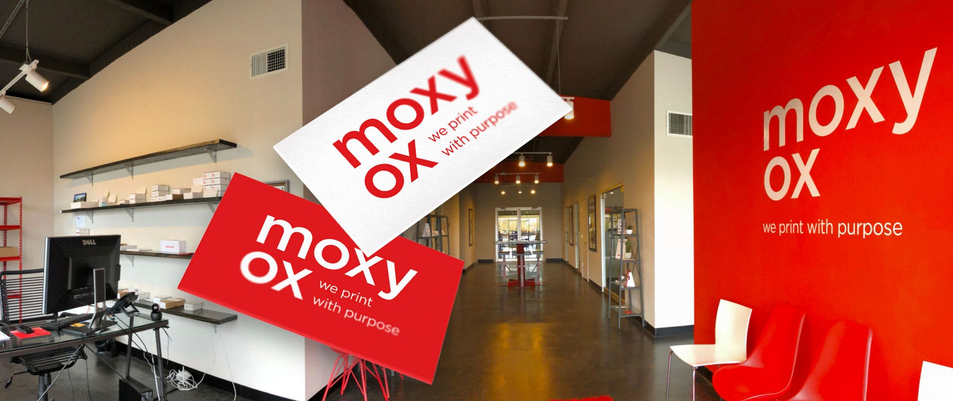Moxy Ox - Blue Zoo Creative